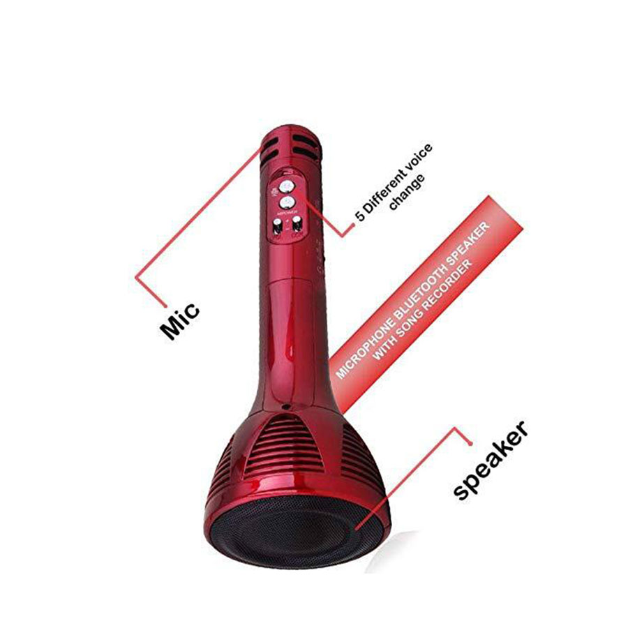 Premium Quality Handheld Wireless Microphone Mike With Audio Recording ...